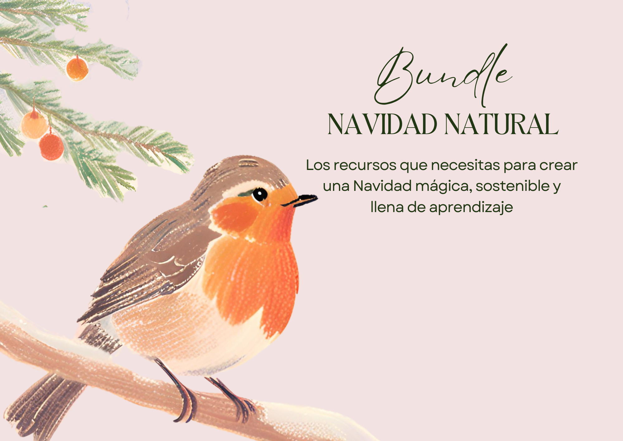 Bundle Navidad natural 2024 - Jugar y asombrarse